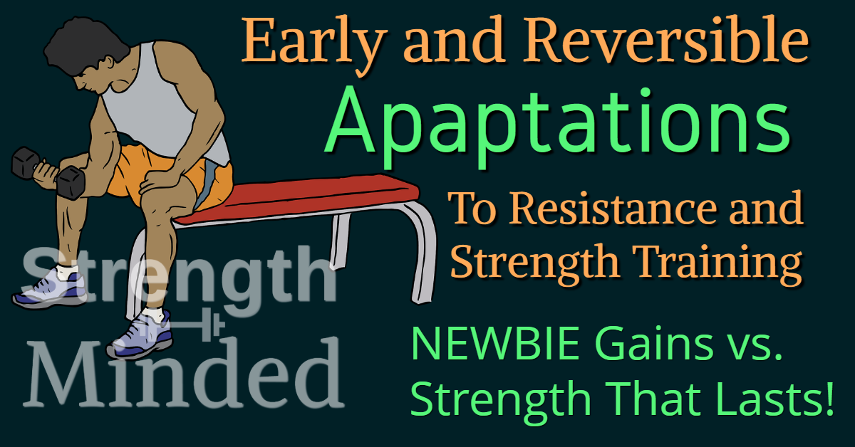 Early and Reversible Adaptations to Strength Training: Newbie Gains vs ...